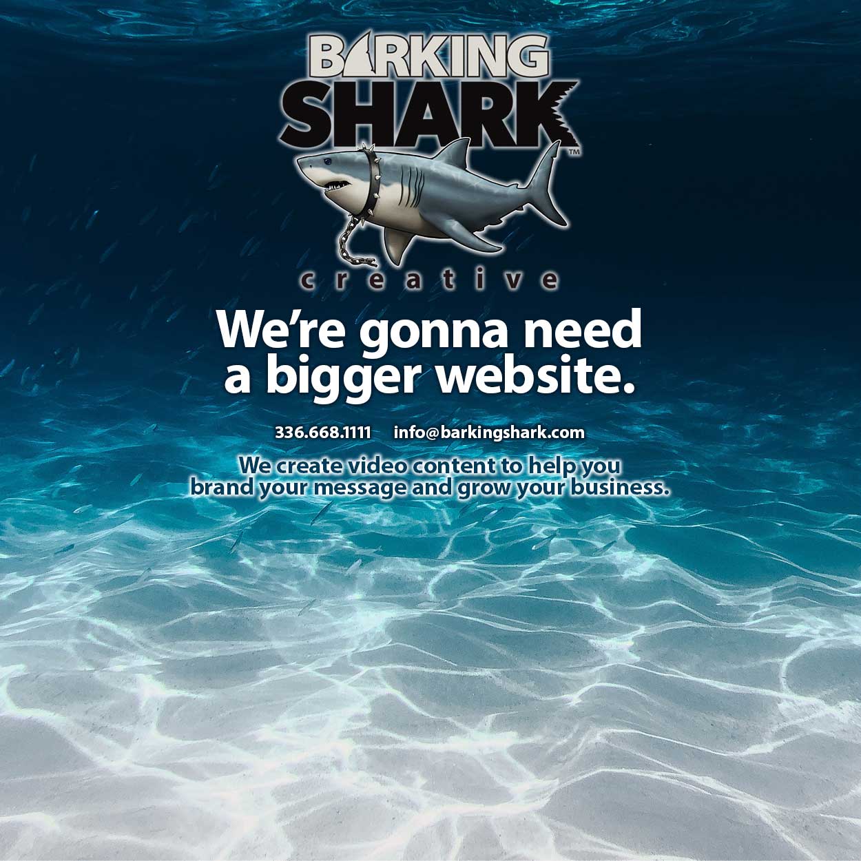 Barking Shark
